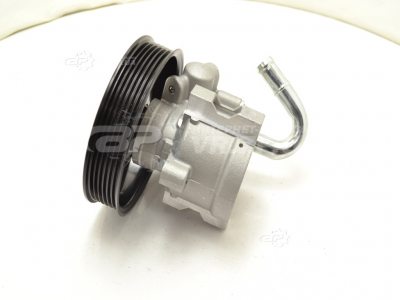 Насос ГУР Aveo T200, 250 Rider (шкив 142мм) RD.96535224 - цена Украина ...